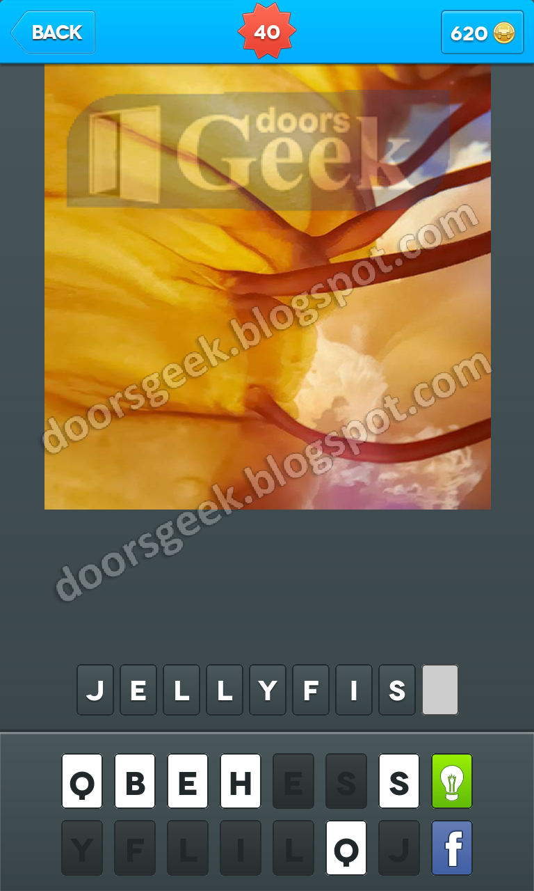 Zoomed In - Photo Word Game Level 40 ~ Doors Geek