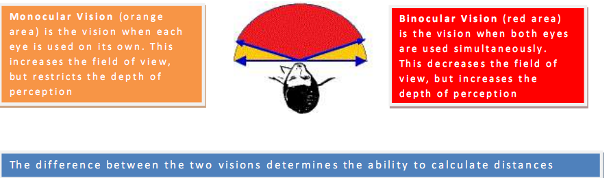 Field of View of the Human Eye | Exercise for Eyes