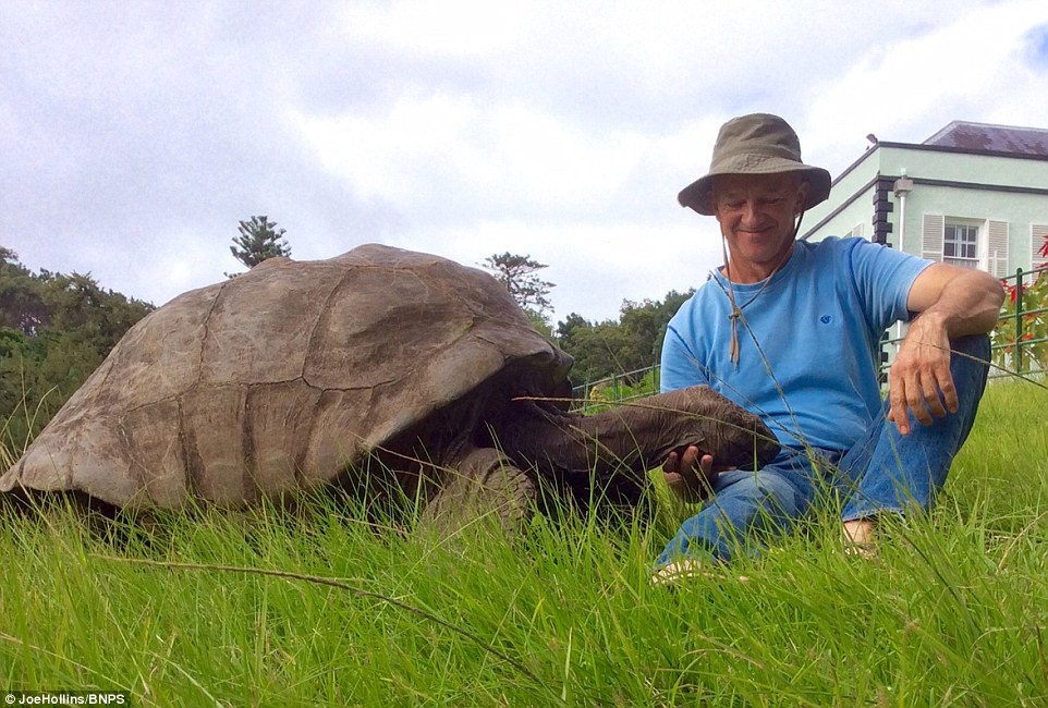 Photos: World's Oldest Living Animal, Jonathan The Giant Tortoise ...