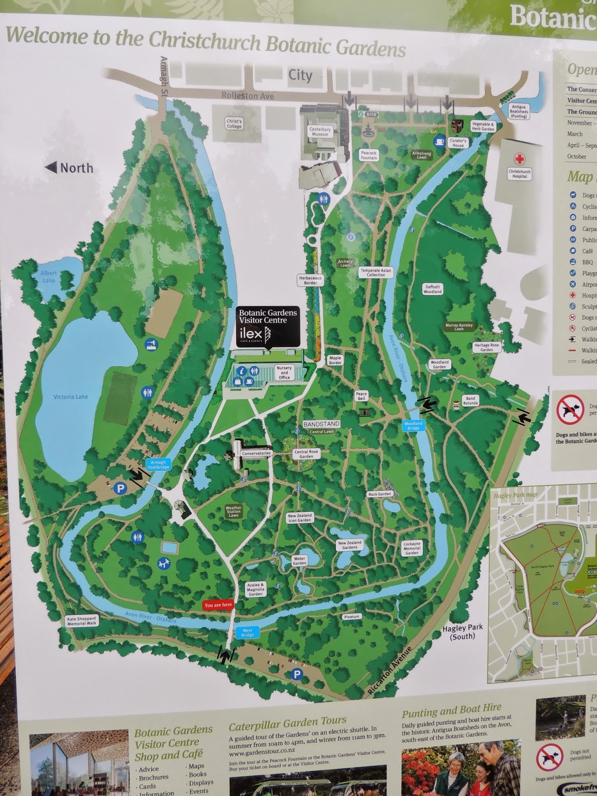 THE ROAD TAKEN : Hagley Park + Christchurch Botanic Gardens