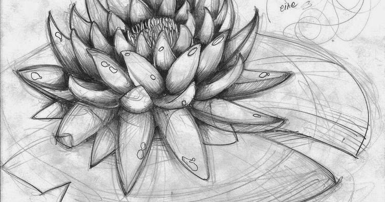 57+ Gaya Terbaru Gambar Bunga 2 Dimensi, Gambar Bunga