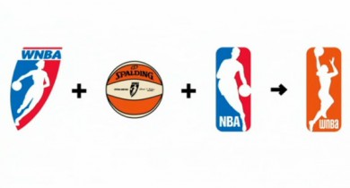 Flags and Logos...the Blog!: WNBA Updates Their Brand's Image