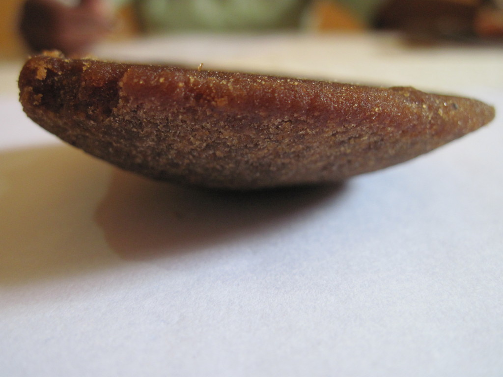 white monks at sri lanka: Thal ala mit Hakuru