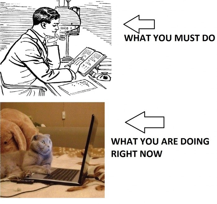 What You Must Do vs. What You Are Doing Right Now | Funpicc