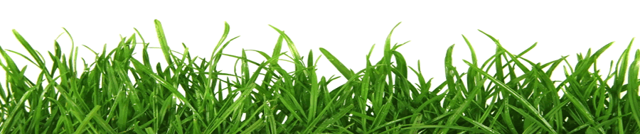 Koleksi Baru 29+ Gambar Animasi Bergerak Rumput