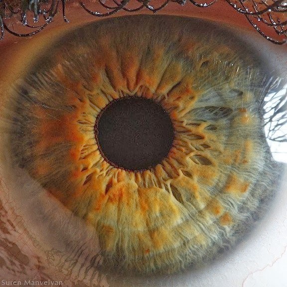 Akademija za estetiku i kozmetologiju: Pogledajte ljudsko oko izbliza