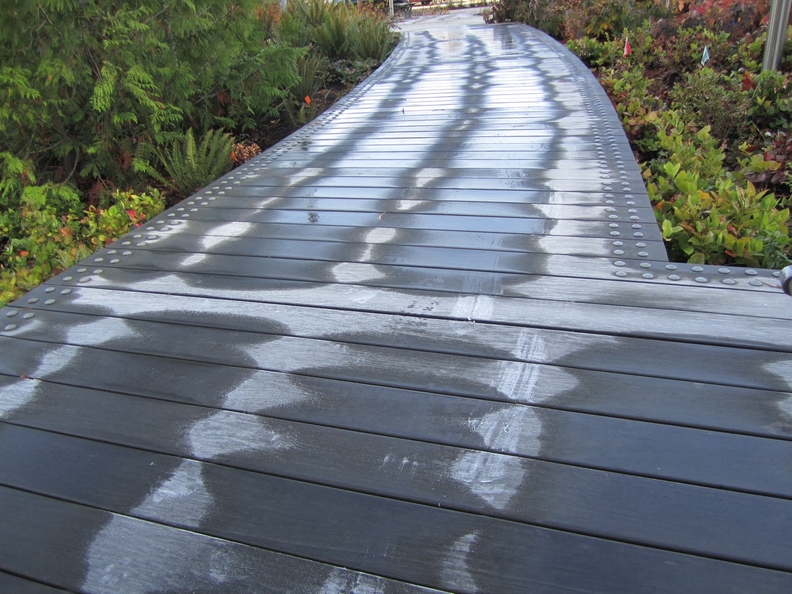 South Waterfront blog: Caution: Slippery Walkways