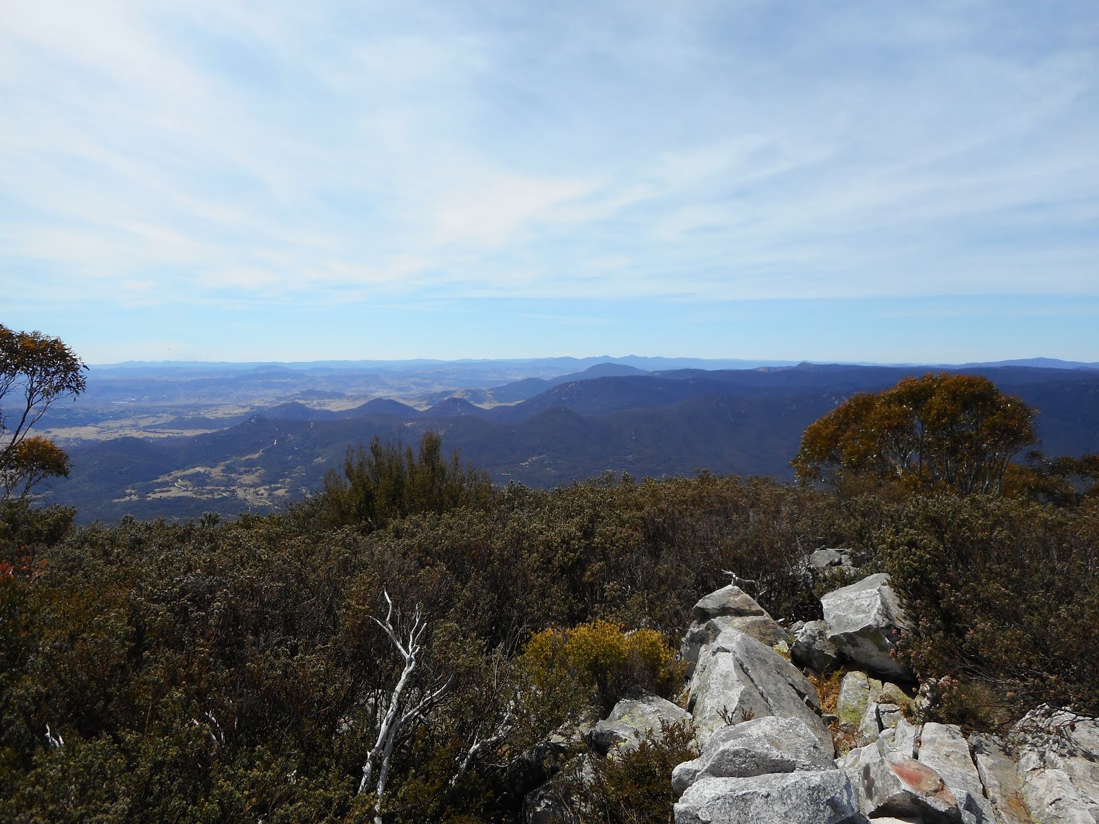 Phil's Bushwalking Blog: Tidbinbilla Nature Reserve: Tidbinbilla Mountain