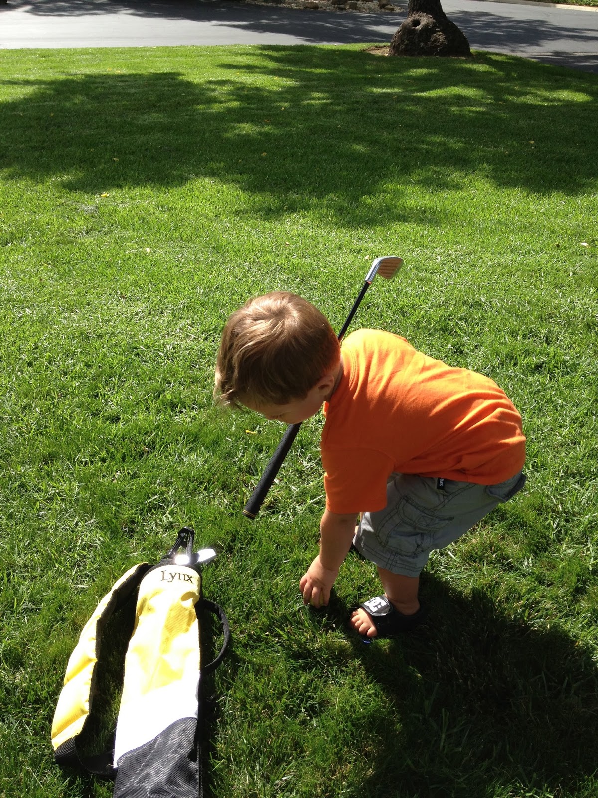 Hamady Family: ultimate summer catch up