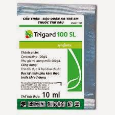 Sâu vẽ bùa hại rau màu và giải pháp - KS. Phạm Thị Kim Chi