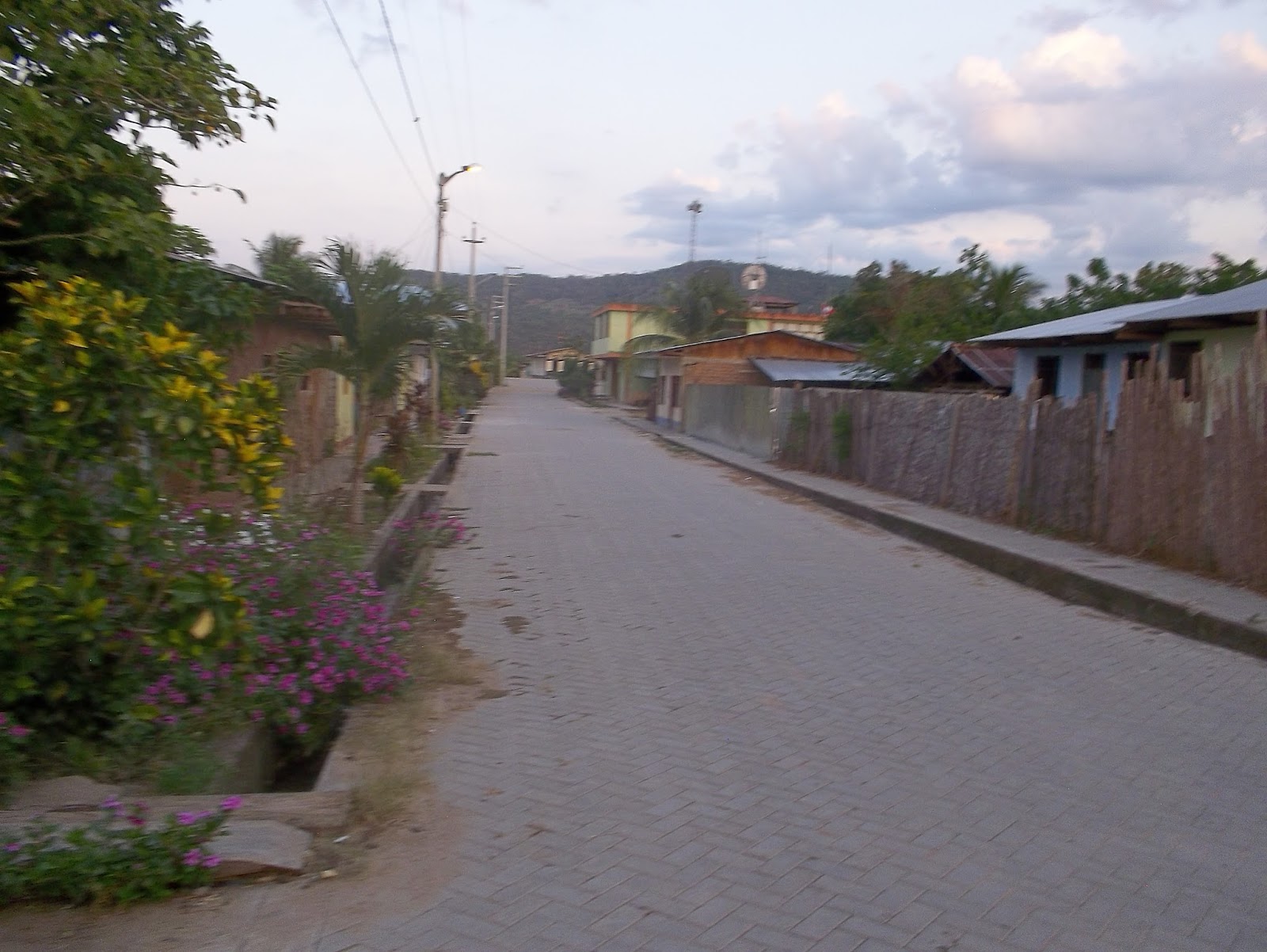 LA PROVINCIA DE HUALLAGA.: Ciudad de Tingo de Saposoa, gran distrito de ...