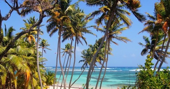 PETITS PARADIS: Anse Michel au Cap Chevalier (Sainte-Anne, Martinique)