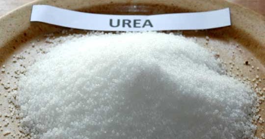 Laboratorio Rueda Farma: Propiedades de la urea