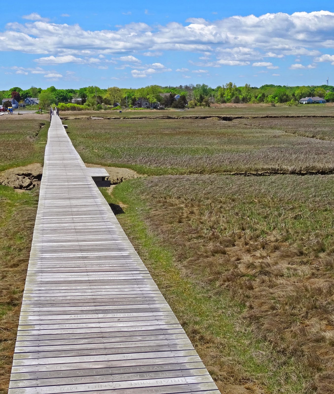 Joe's Retirement Blog: Sandwich Boardwalk, Sandwich, Massachusetts, USA