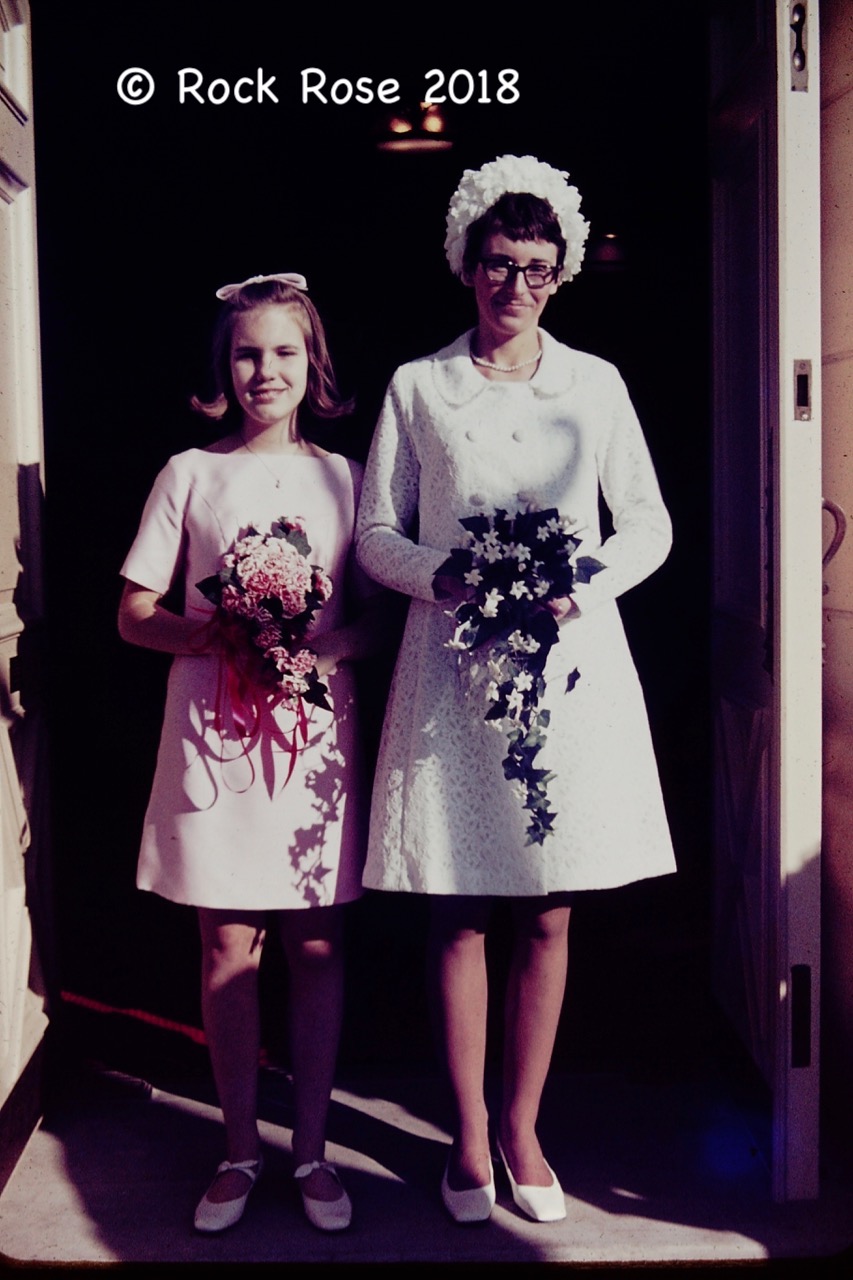 ROCK ROSE: 50 YEARS AGO TODAY, I HAD TWO WORDS TO SAY