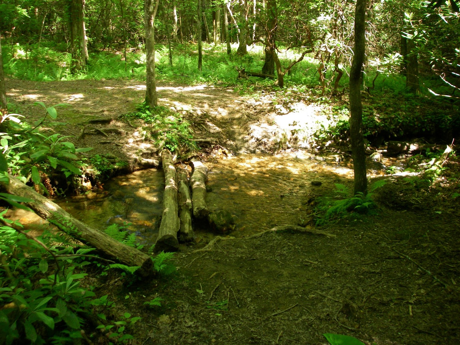 Aska Trail System Mountain Biking