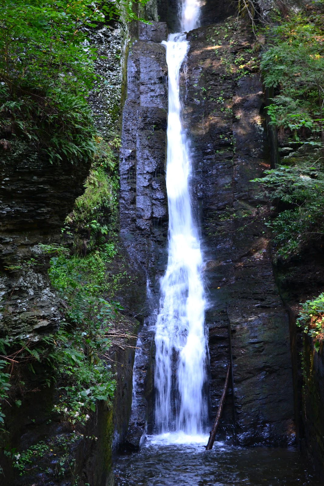 Nanda & Nathan The Travellers: Dingmans Falls