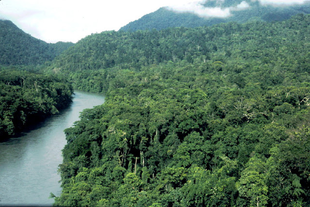 I Brake for Wildflowers!: Papua New Guinea 5. To the Frieda River