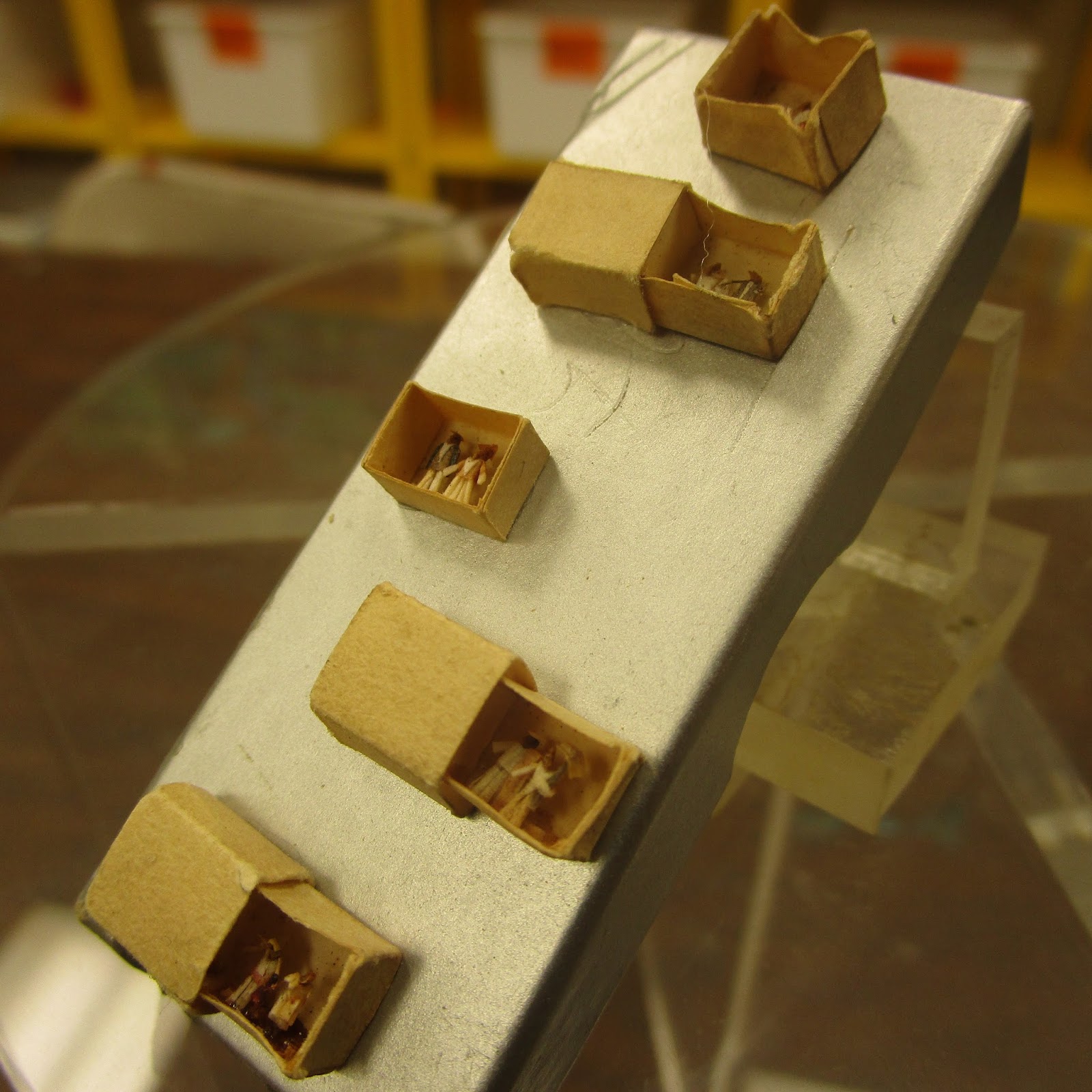 MMM Revealed! Fleas!