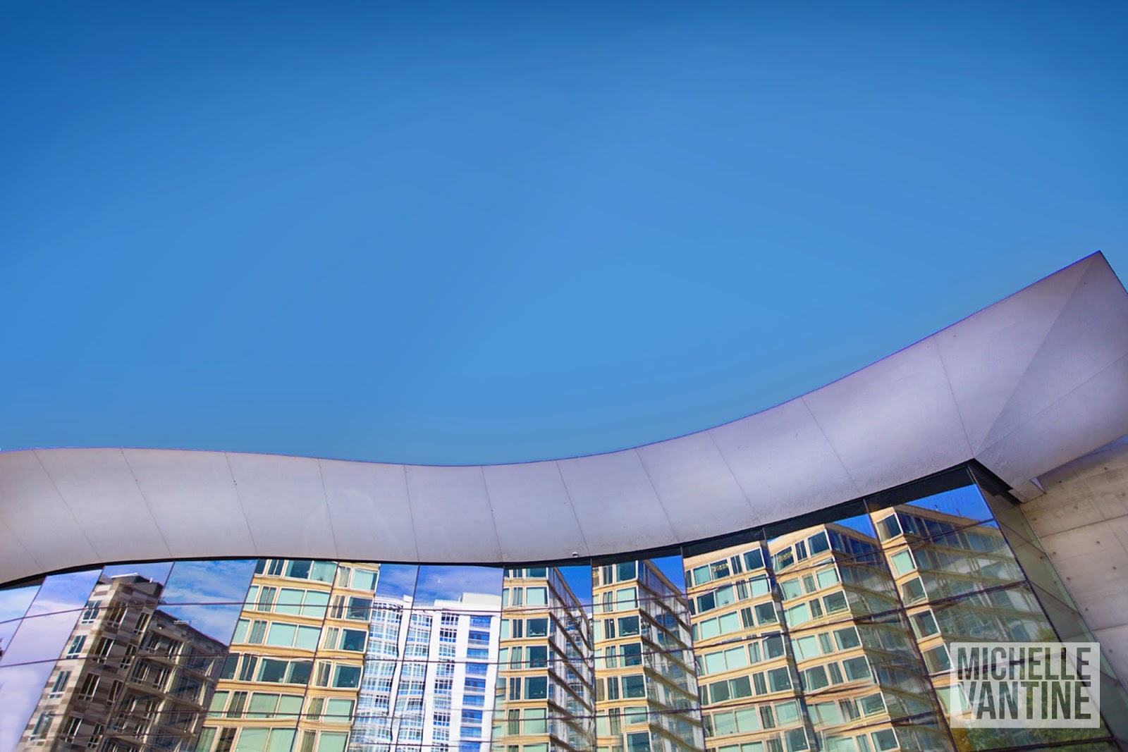 Fort Lauderdale , Miami, and DC Modern Wedding Photographer: Michelle ...