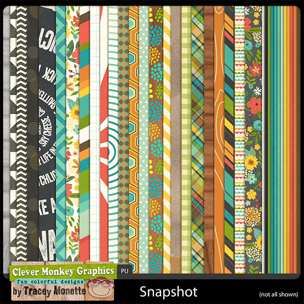 Newest Releases: Snapshot, Slides & Snapshot Journal Cards | Clever ...