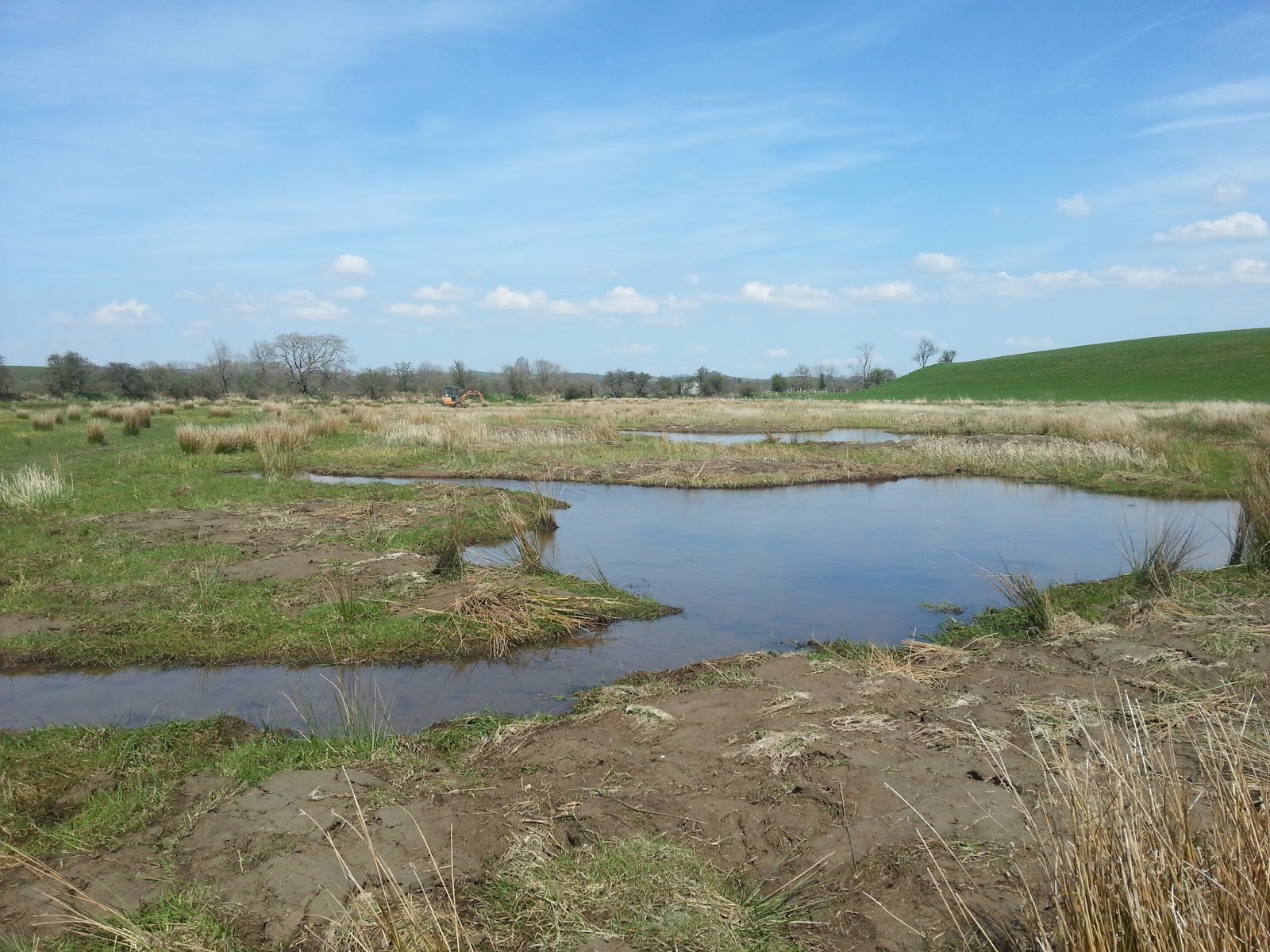 NTS Dumfries and Galloway Countryside Team: Threave wetland ...