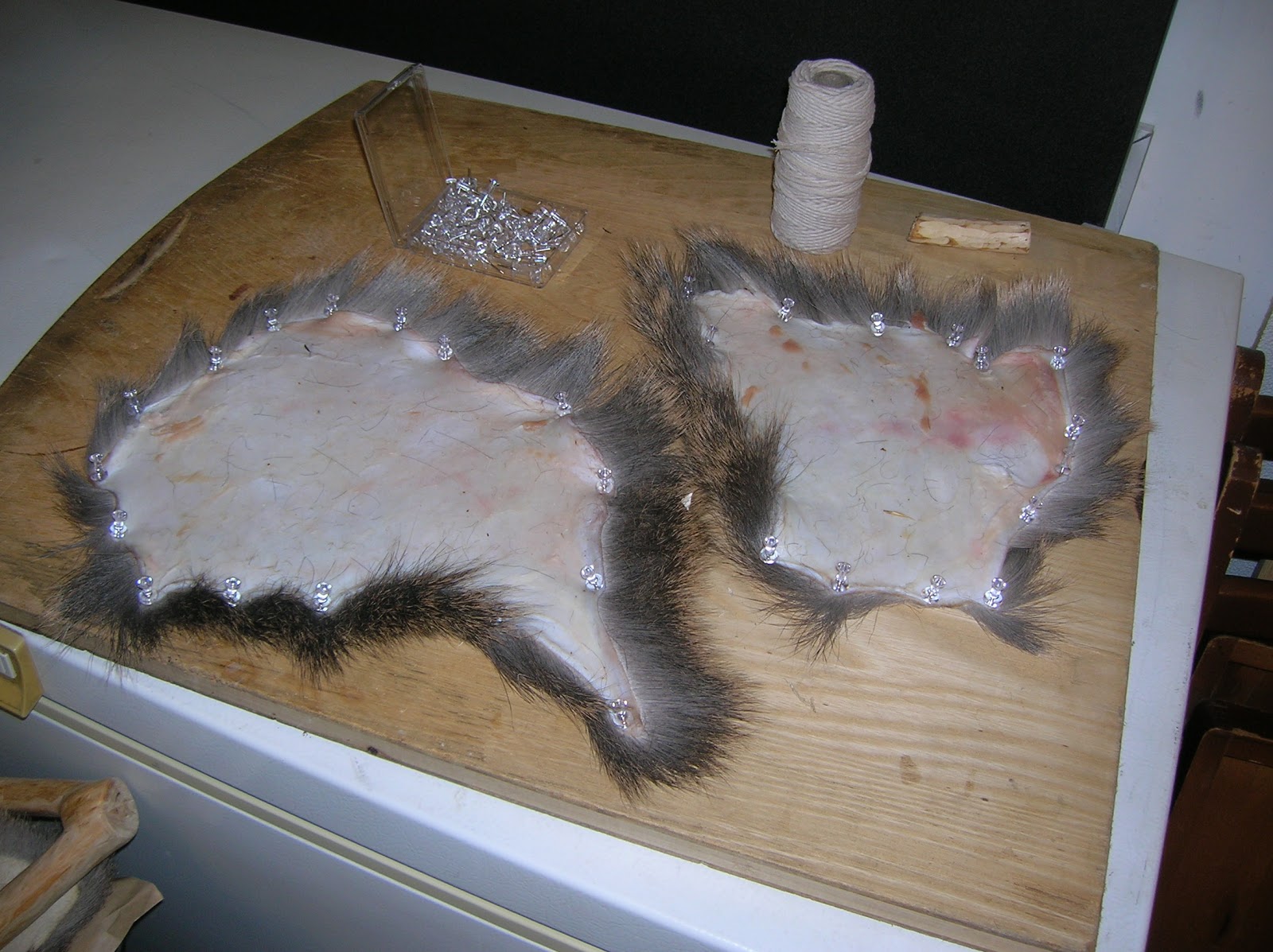 Musings of Musang: Experimenting with Alum Tawing ... white tail deer ...