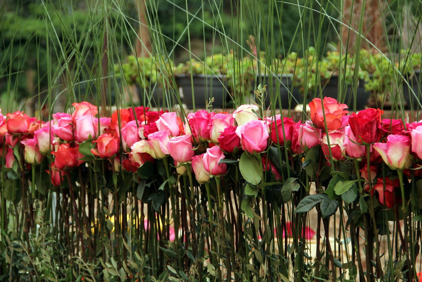 Escola d'Art Floral de Catalunya