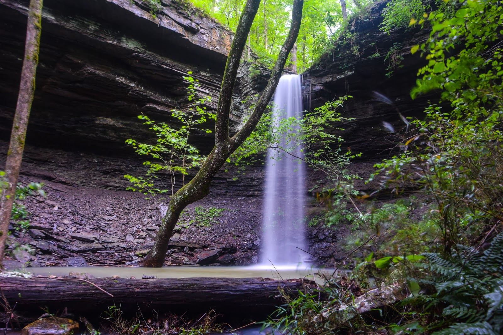 Rick's Hiking Blog: Rough Hollow Waterfalls, Arkansas Ozarks