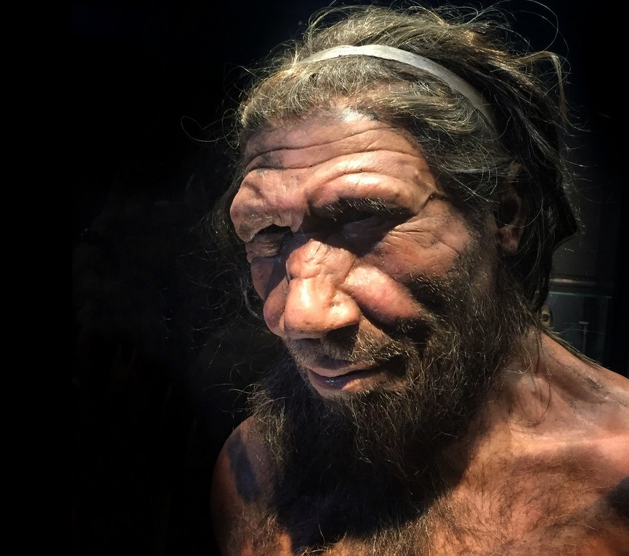 Neanderthals May Have Used Fire To Make Tools