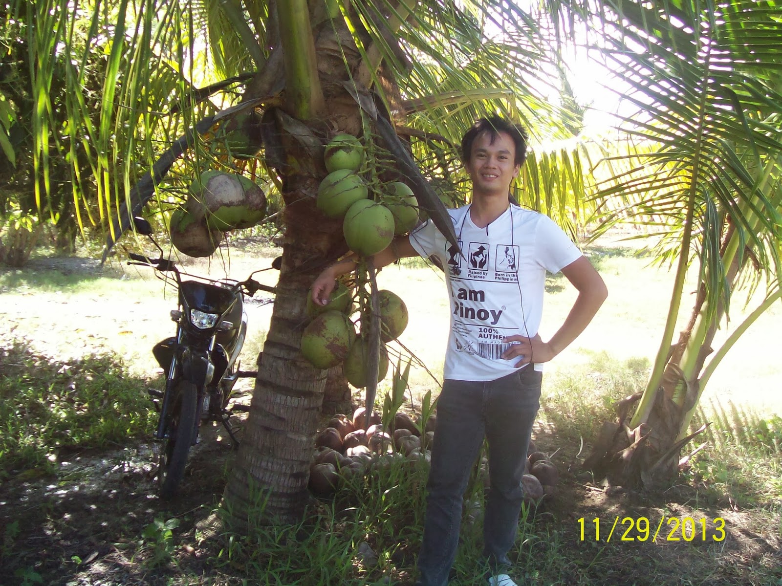 COCONUT in the NORTH
