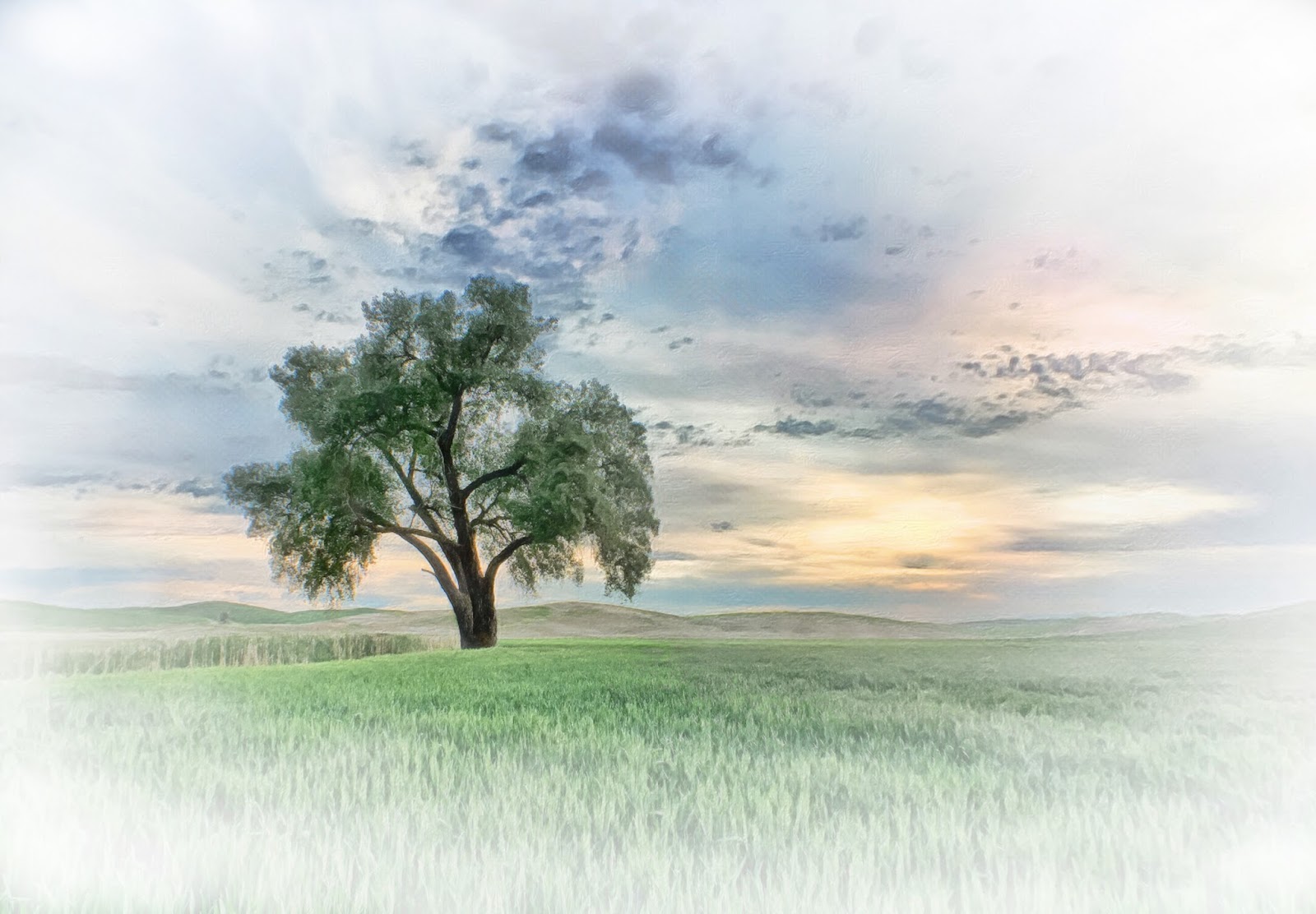 Palouse Photography Tours: Palouse May Tour Photos