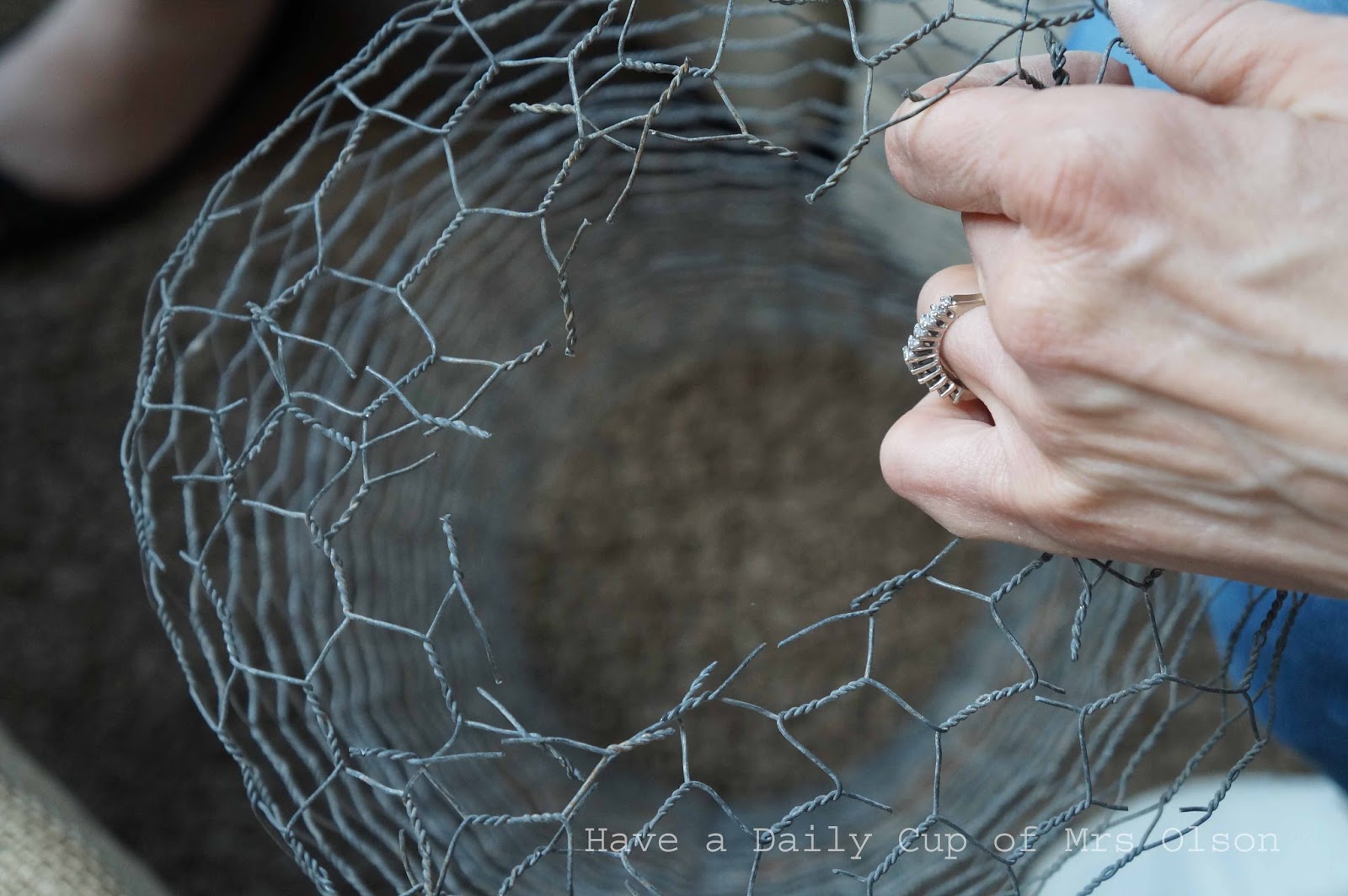 Cloche Encounters of the Chicken Wire Kind. . . - Have a Daily Cup of ...