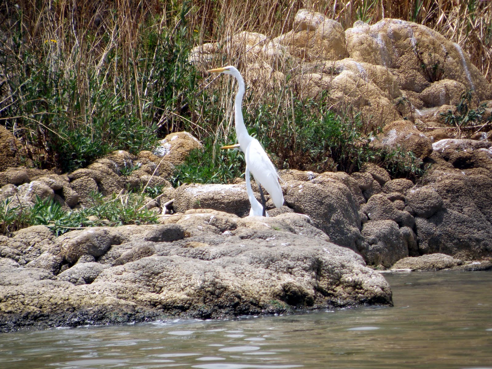 Michoacán bajo mis ojos: Isla de Yunuén