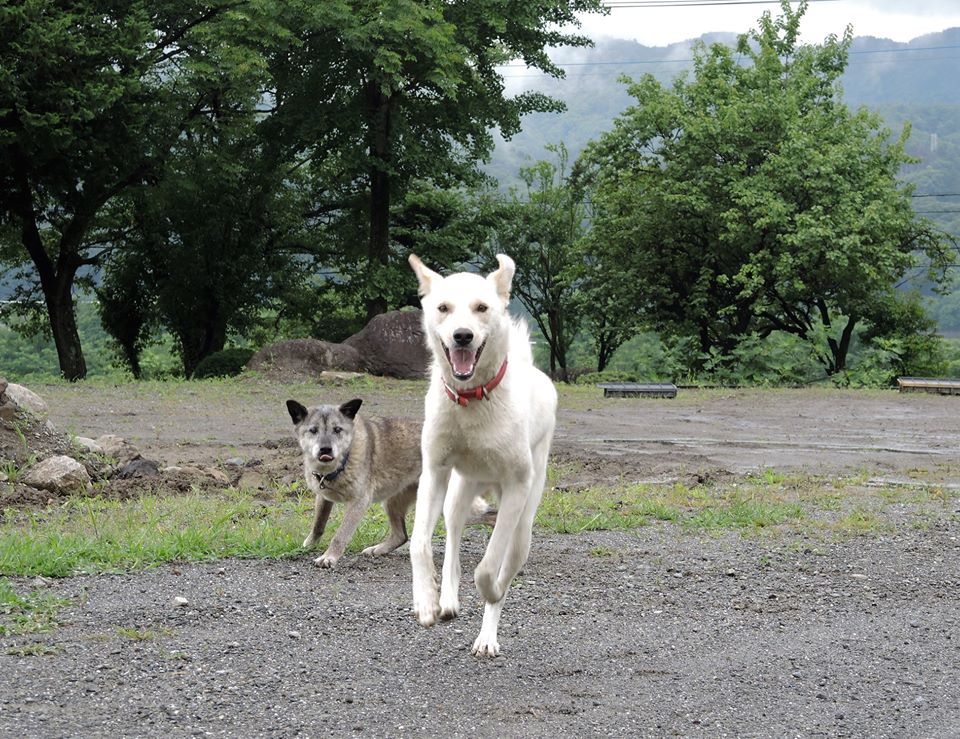 THE SUNDAY ZEN! – M & S | Ultimate High-Fidelity