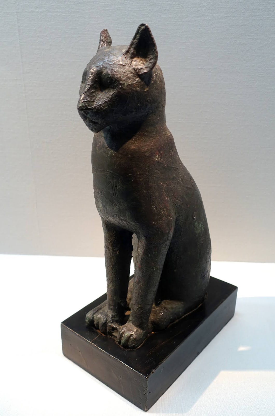 Heroes, Heroines, and History: House Cats: A History of our Beloved ...