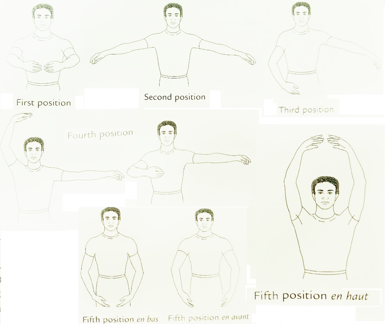 Kandykane Dance Jazz Dance Basics Arm Positions