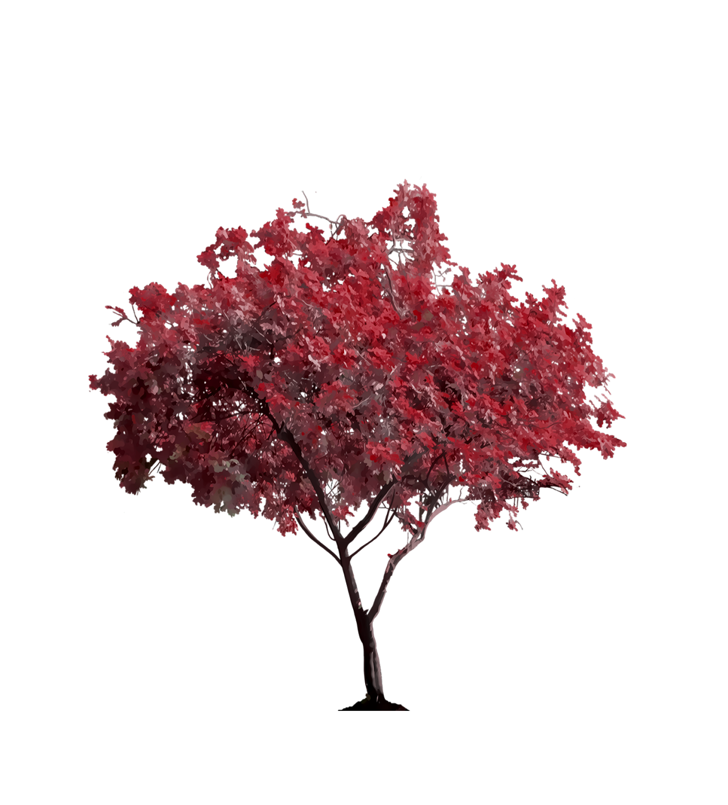 TRESS PNG - Exetramix