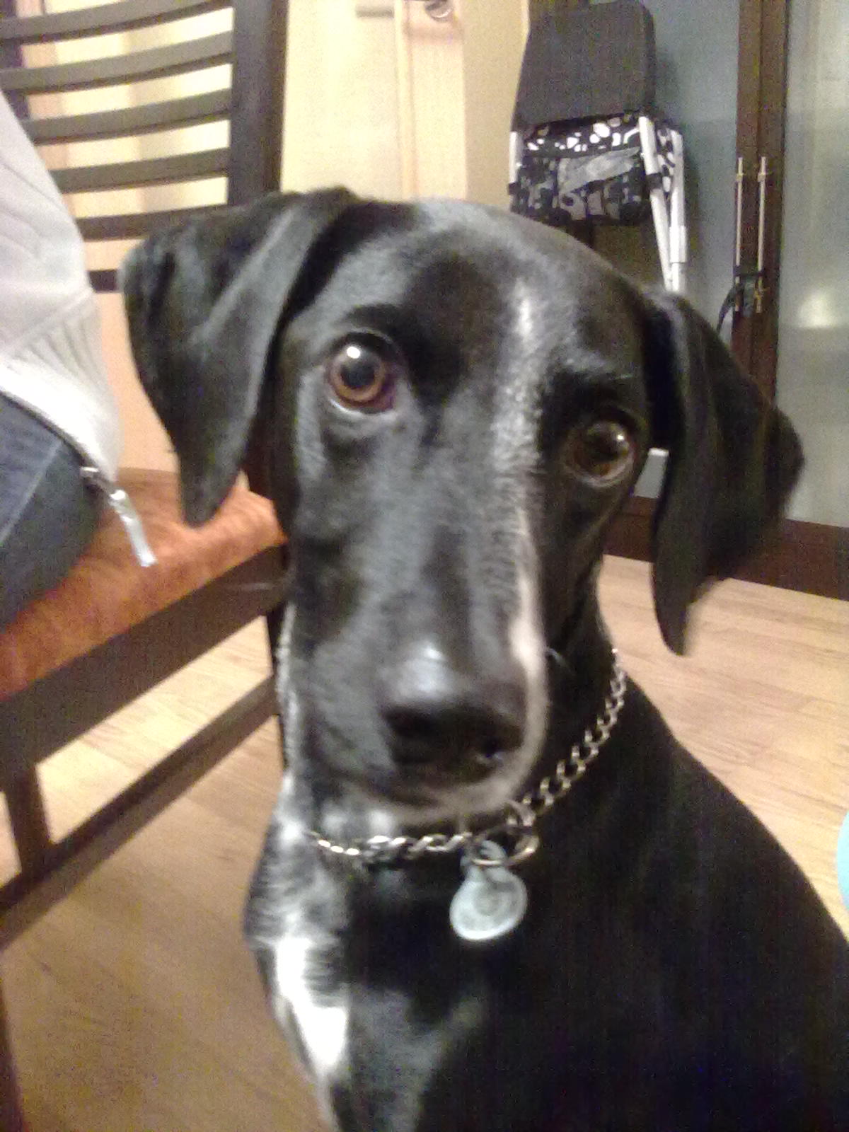 A Personal Blog: Perrote...