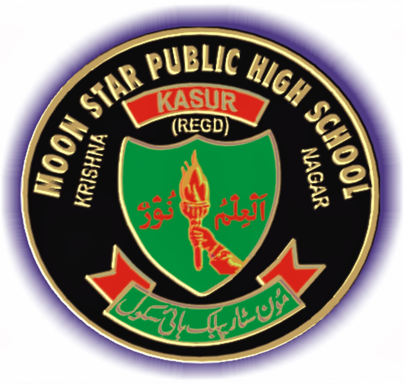 online attendance of month June 2014 (Boys)(moon star public high ...