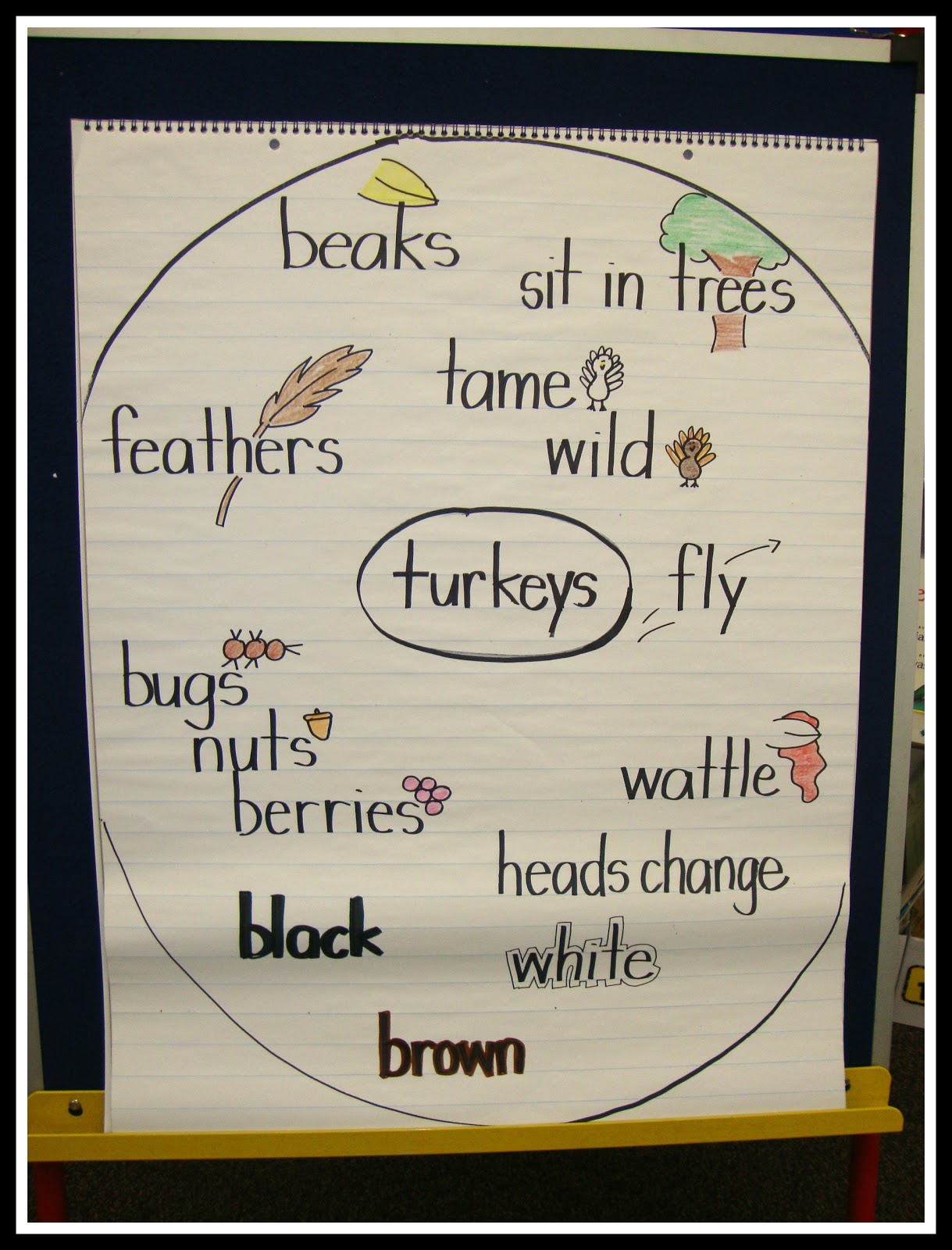 Today In First Grade: Hello Turkeys!