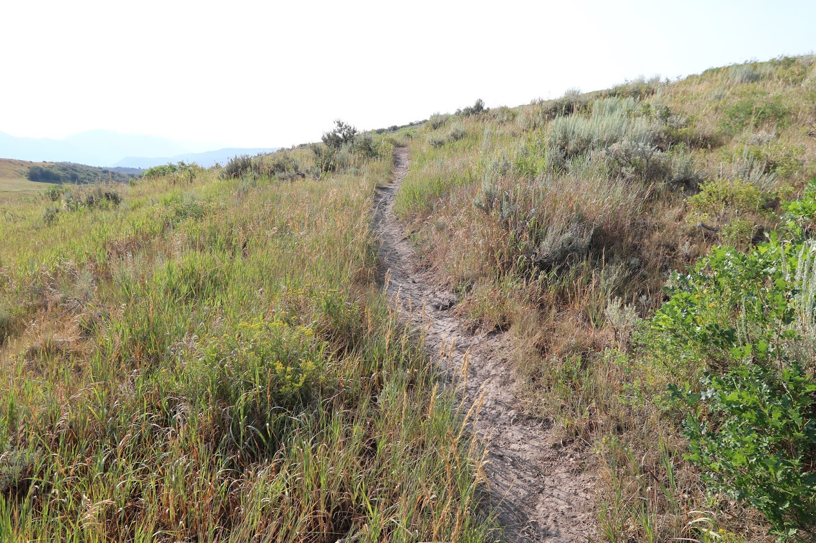 gjhikes.com: Elk Run