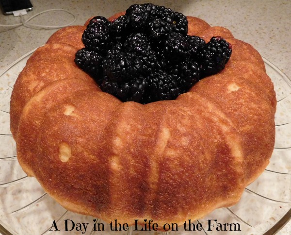 A Day in the Life on the Farm: Lemon and Blackberry Savarin #BundtBakers