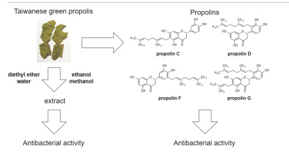 Apitherapy News: Taiwanese Green Propolis Has Significant Antibacterial ...