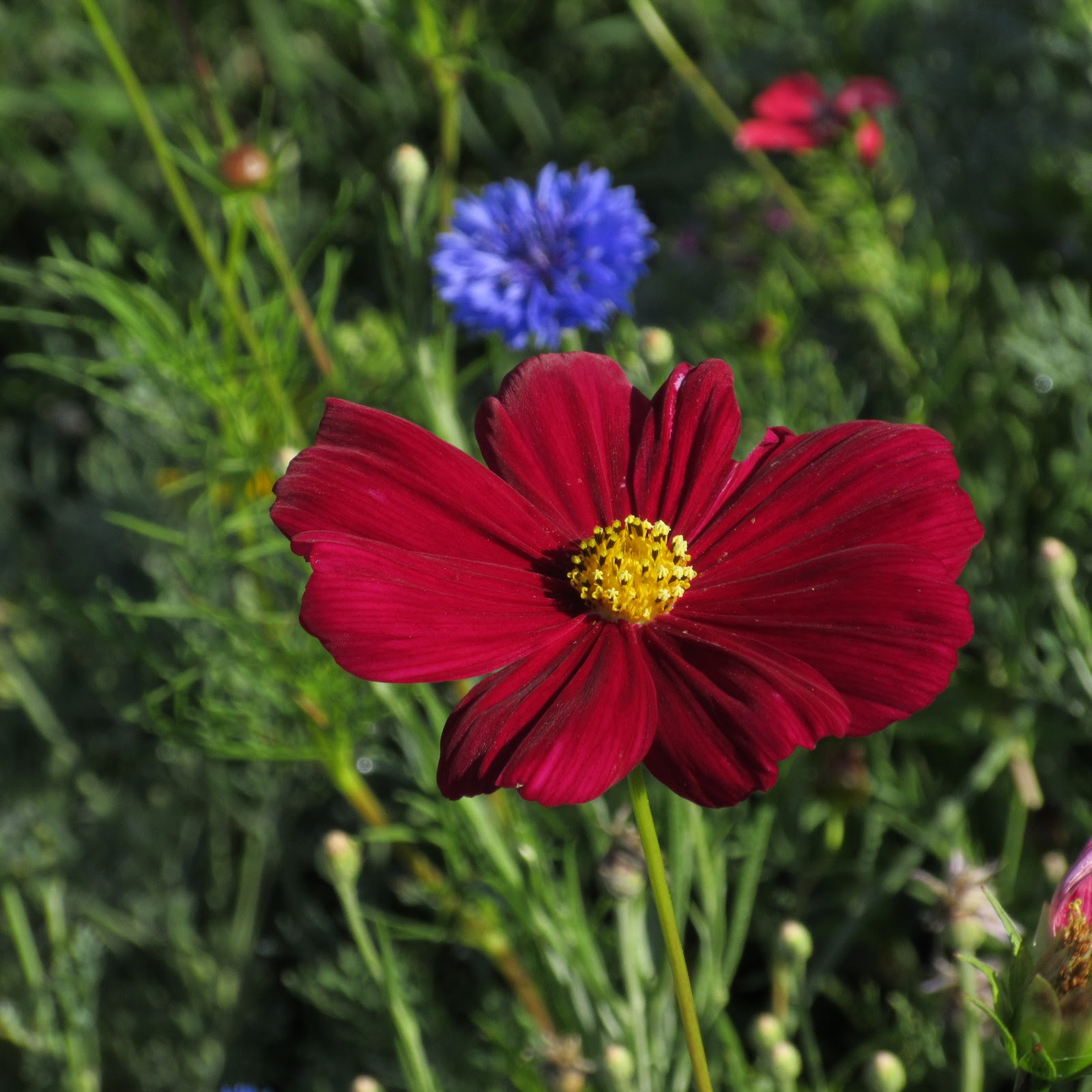 Dollhouselady's Blog: Another busy day for Mr. Skellie...