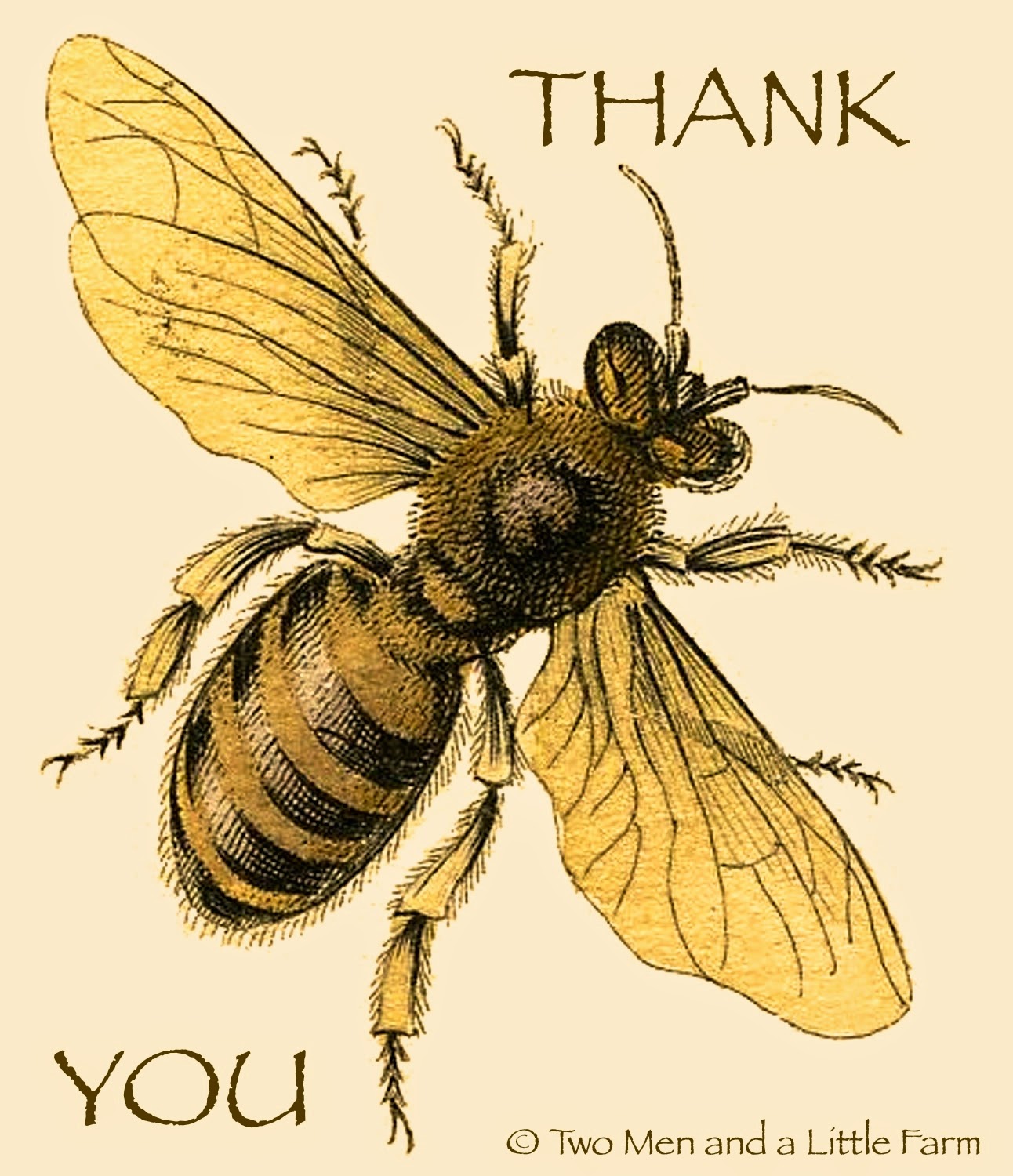 Two Men and a Little Farm: HOW TO INSTALL PACKAGE BEES INTO A HIVE