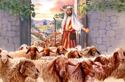 SHEEPFOLD PARABLES: THE DOOR OF THE SHEEP