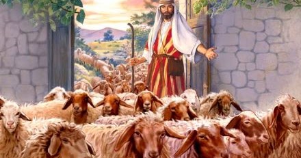 SHEEPFOLD PARABLES: THE DOOR OF THE SHEEP
