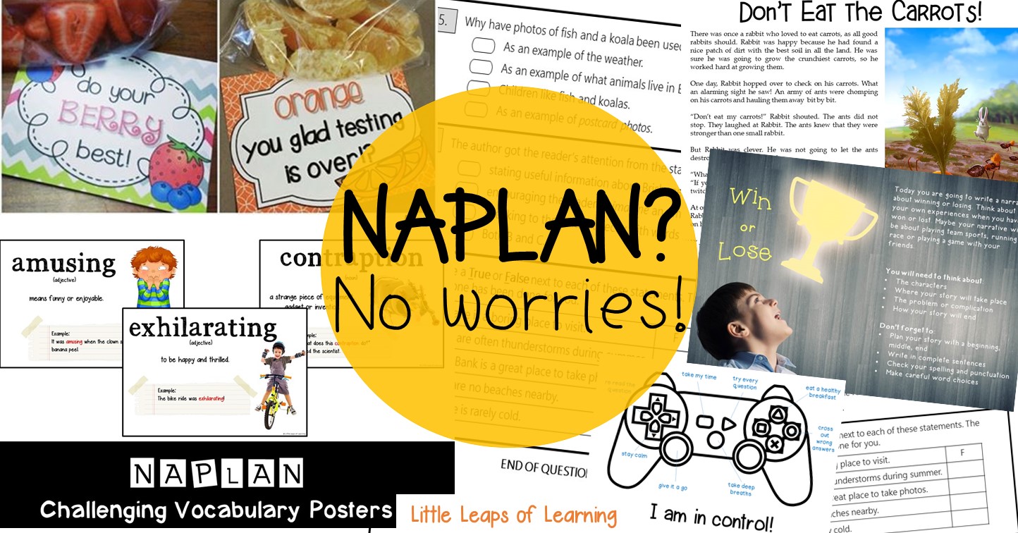 Little Leaps of Learning: NAPLAN? No worries!