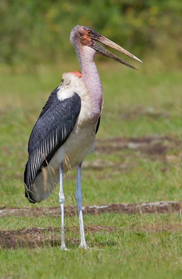 Natureza, Perfeição sem tamanho...